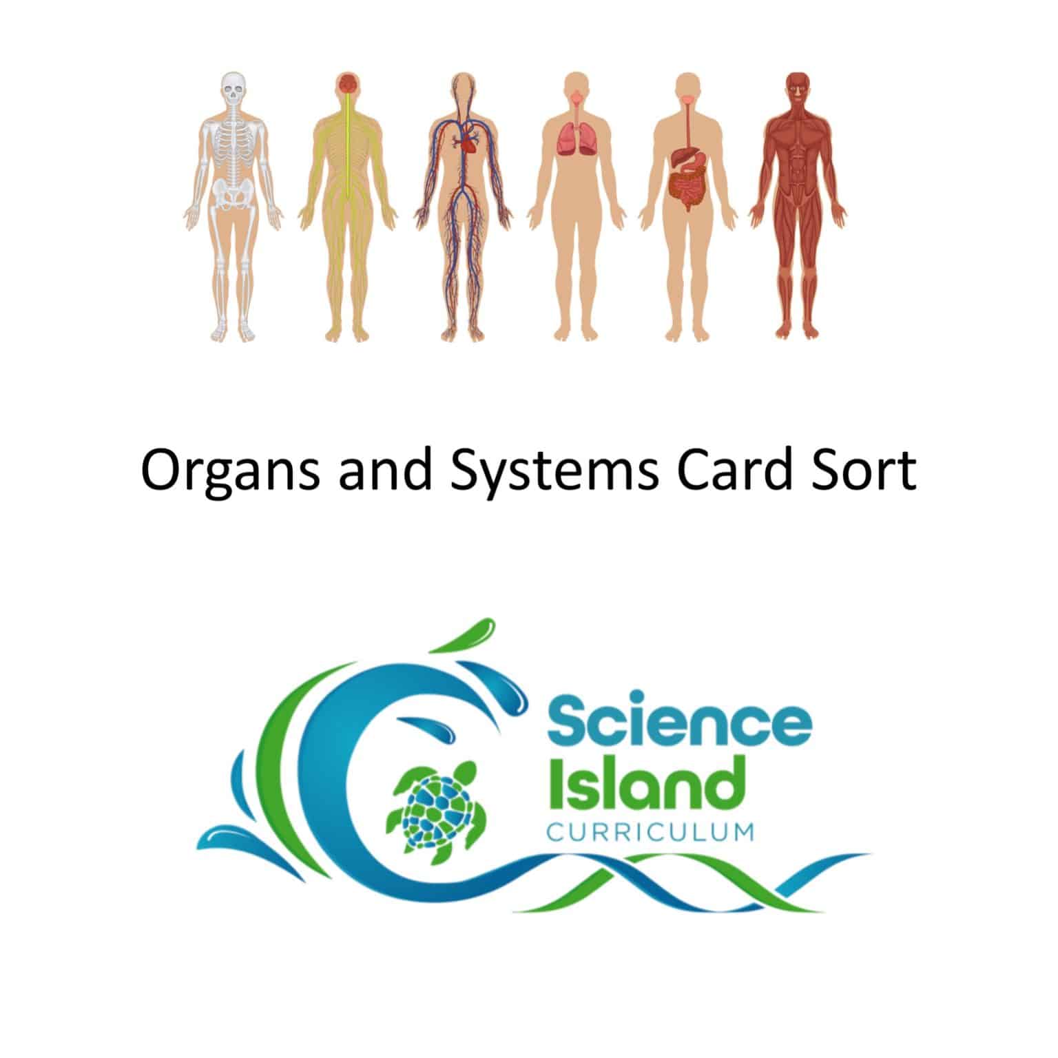 Blog - Science Island