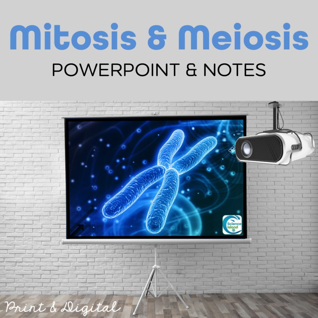 Mitosis and Meiosis PowerPoint and Notes - PowerPoint, Notes, and ...