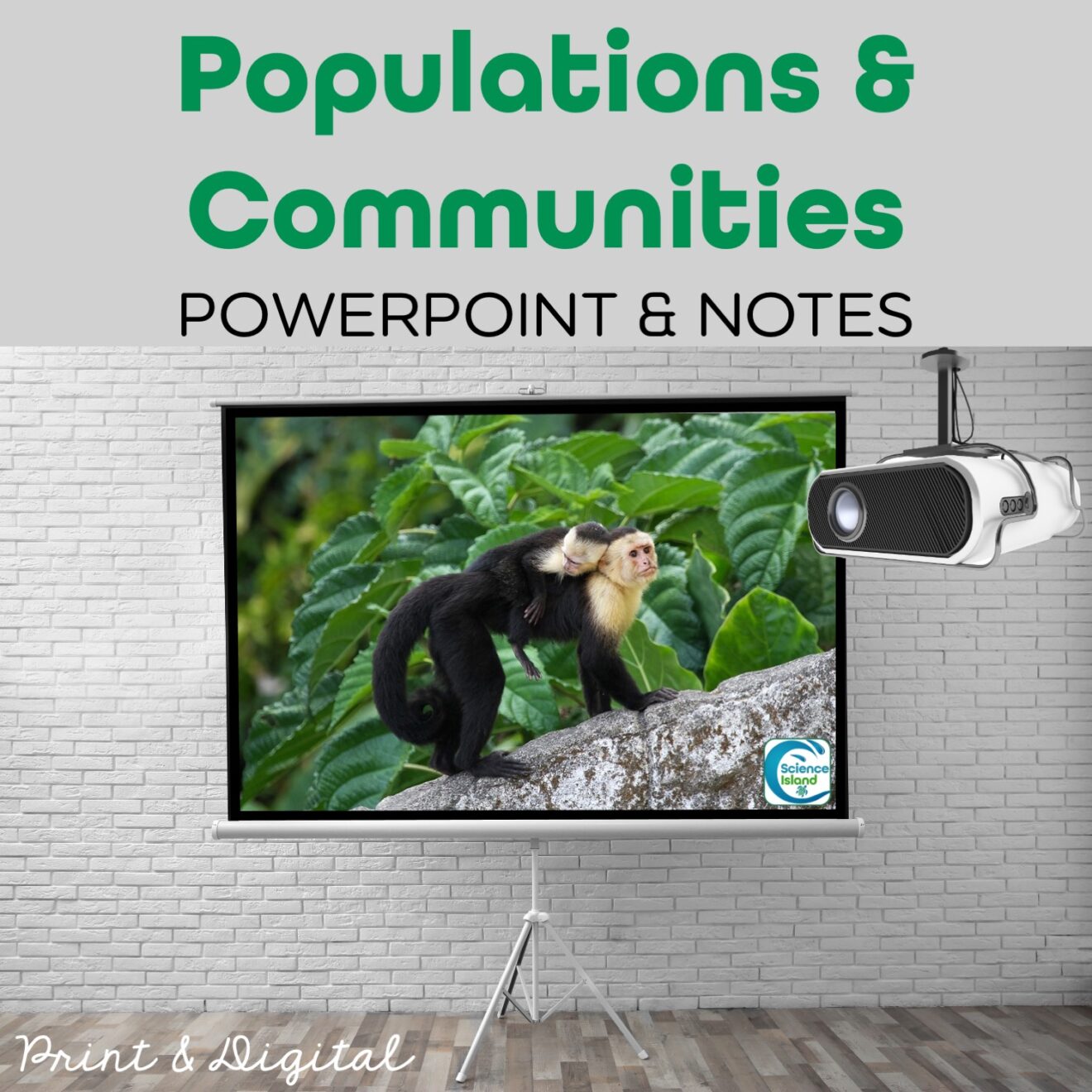 Populations and Communities PowerPoint, Notes, and Videos - Science Island