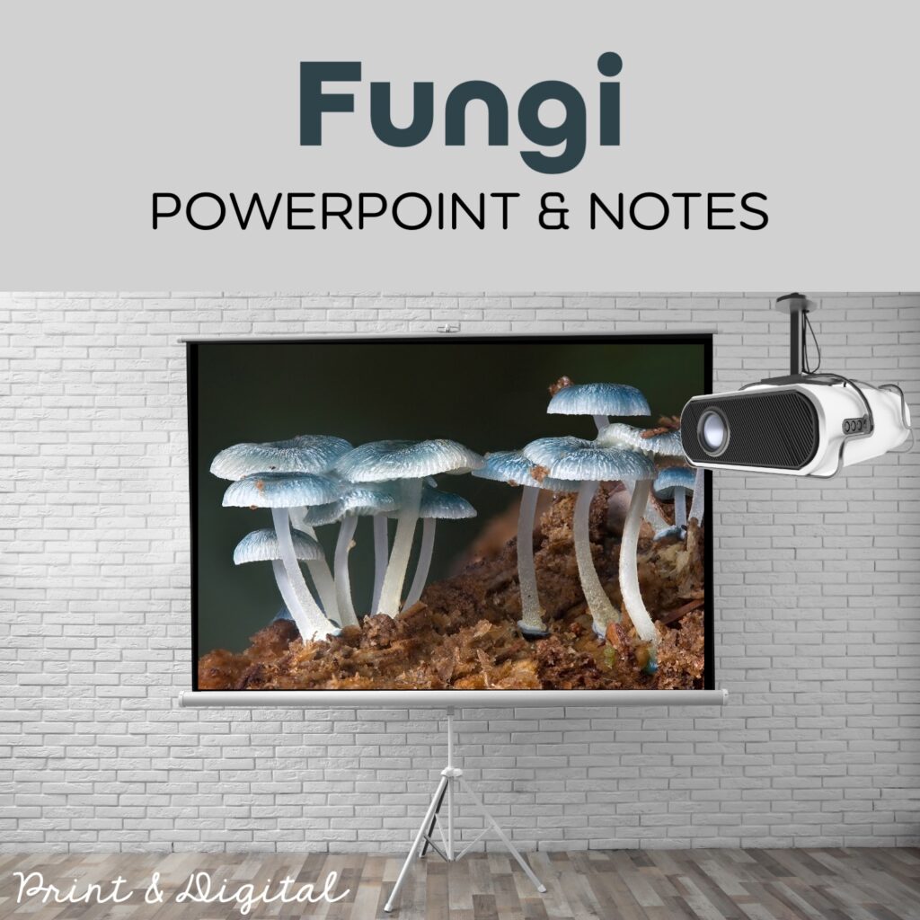 Fungi PowerPoint, Notes, and Videos - Science Island