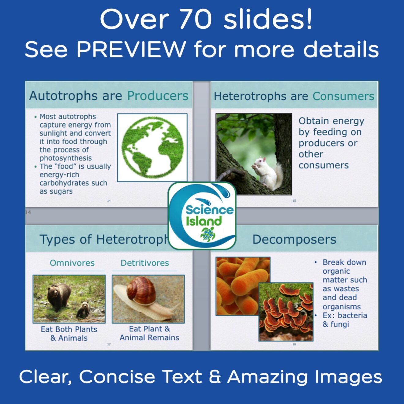 The Biosphere PowerPoint, Notes, and Videos - Science Island