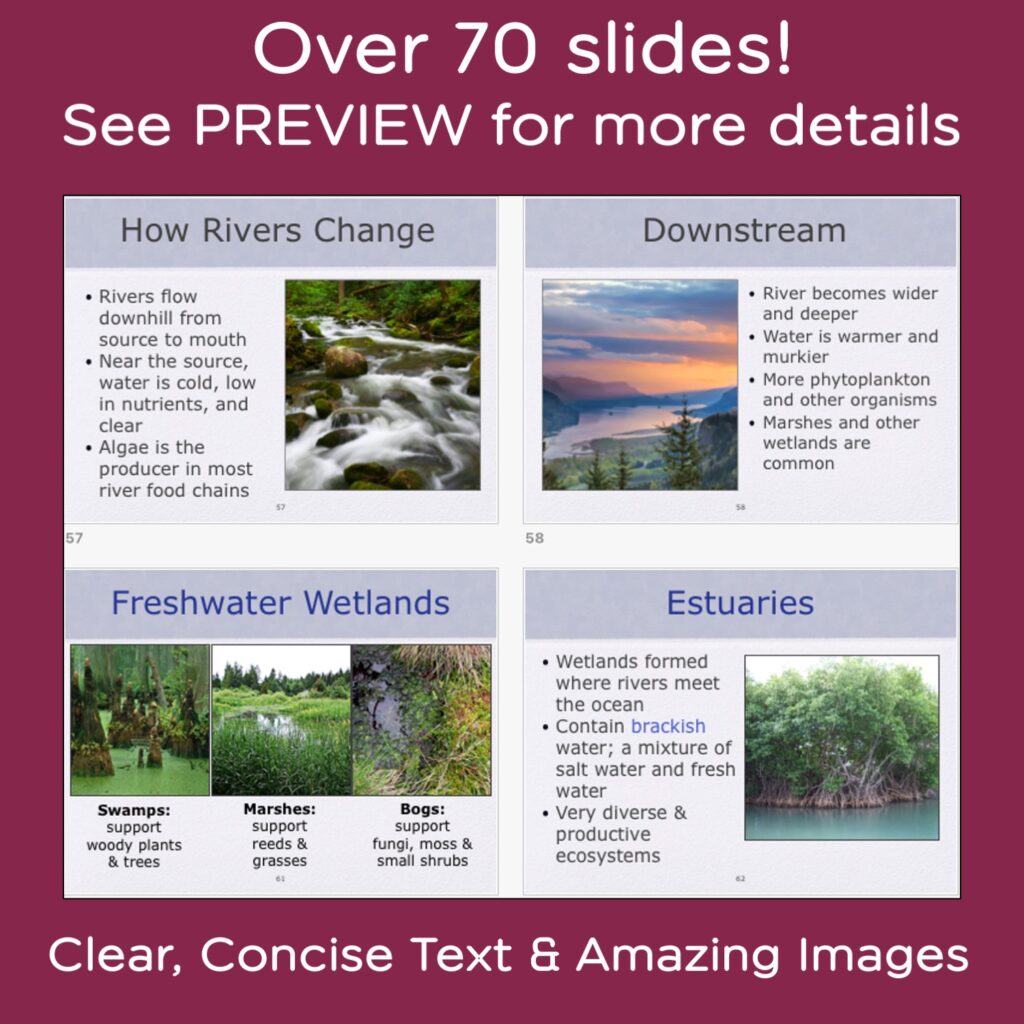 Ecosystems PowerPoint, Notes, and Videos (Biomes) - Science Island
