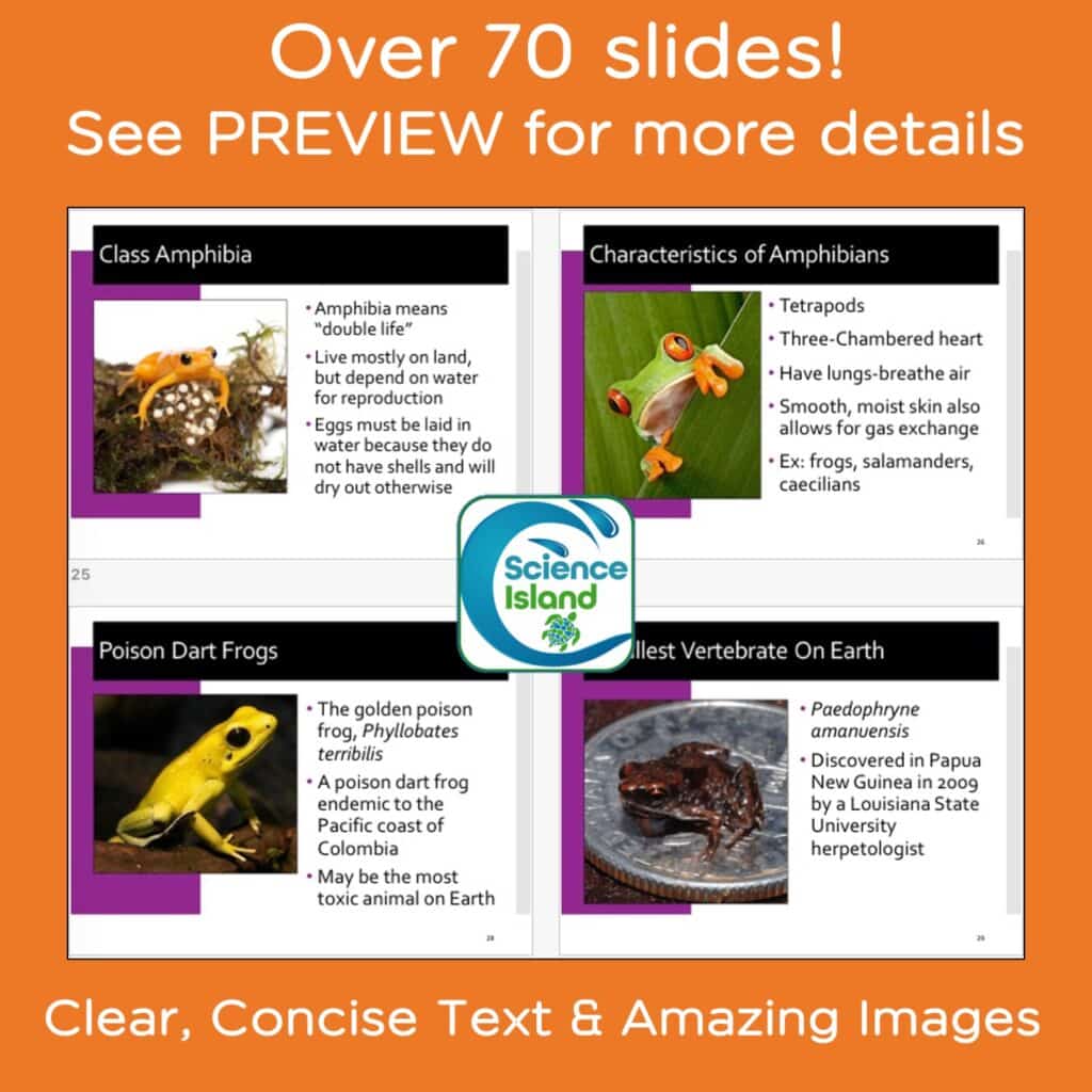 Vertebrates PowerPoint, Notes, and Videos - Science Island