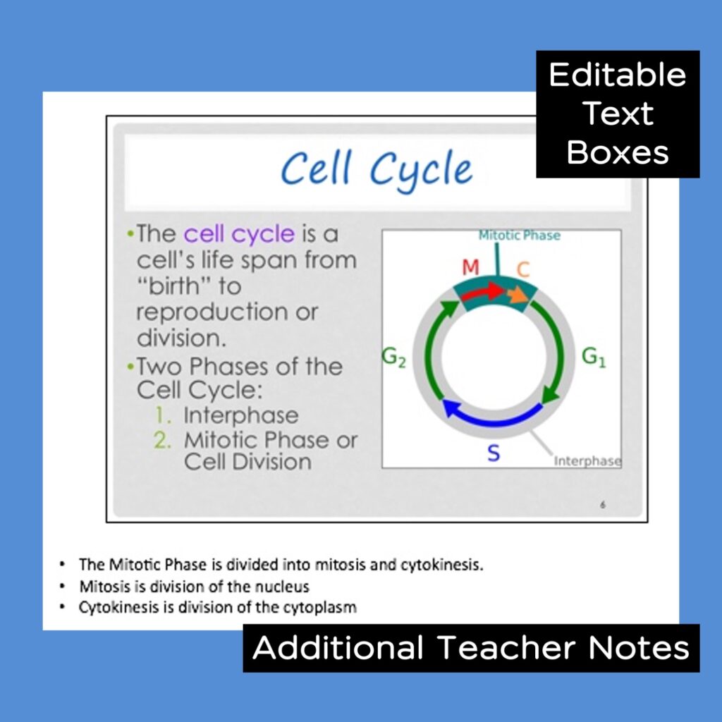 Mitosis and Meiosis PowerPoint and Notes - PowerPoint, Notes, and ...