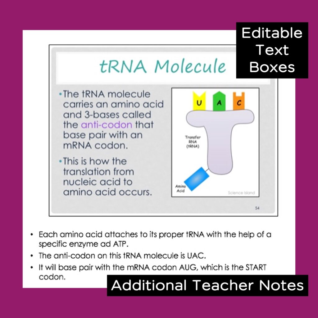 DNA and Protein Synthesis PowerPoint, Notes, and Videos - Science Island