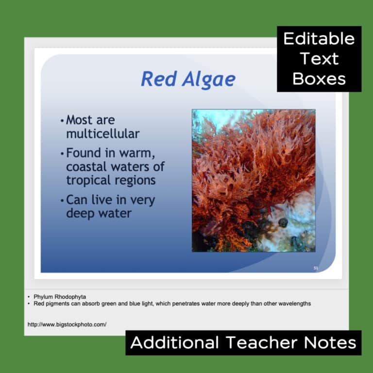 Protists PowerPoint, Notes, and Videos - Science Island