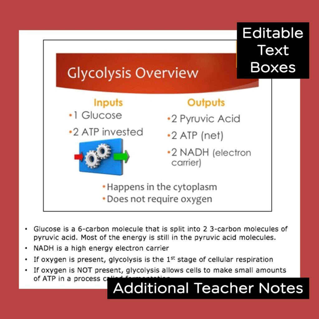 Cellular Respiration PowerPoint, Notes, and Videos - Science Island
