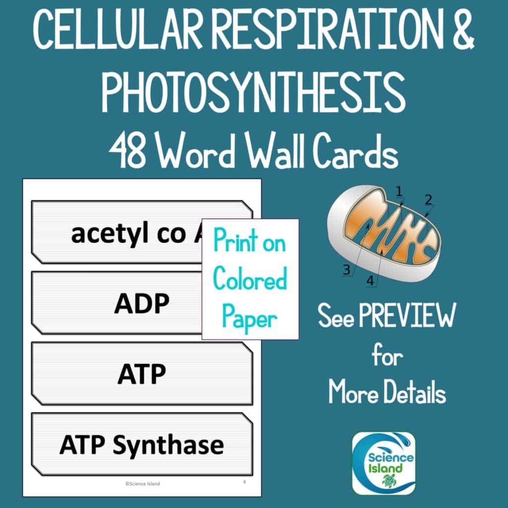 Literacy Strategies for Biology: Cellular Respiration and ...