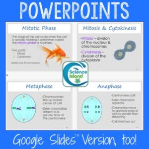 Genetics Unit Bundle - Print and Digital Resources - Science Island