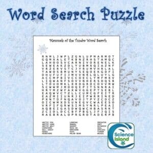 FREE Mammals of the Tundra Activity - Science Island