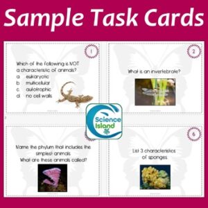 Invertebrates Task Cards Activity - Science Island
