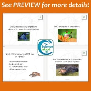 Vertebrates Task Cards Activity for Biology - Science Island