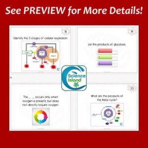Cellular Respiration Task Cards Activity - Science Island