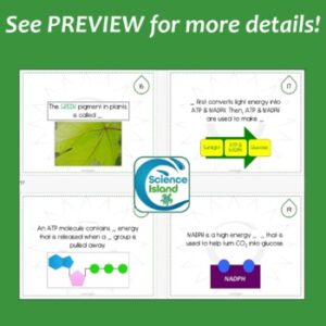 Photosynthesis Task Cards Activity - Science Island