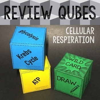 Cellular Respiration Review Qubes Game - Science Island