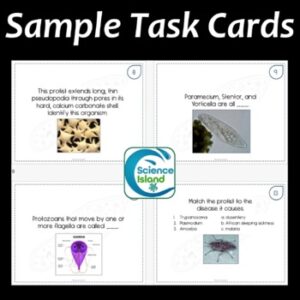 Protists Task Cards Activity - Science Island