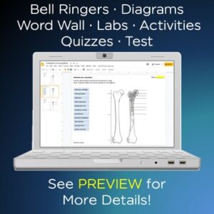 Skeletal System Activities, Bell-Ringers, and Assessments for Anatomy ...
