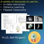 Skeletal System Activities, Bell-Ringers, and Assessments for Anatomy ...