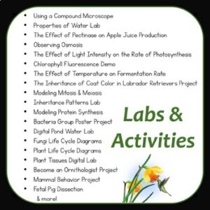 Big Biology Bundle: PowerPoints, Notes, Activities, Labs, Task Cards ...