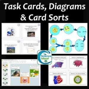 Big Biology Bundle: PowerPoints, Notes, Activities, Labs, Task Cards ...