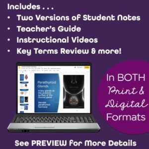 Endocrine System PowerPoint and Notes - Science Island