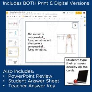 Skeletal System Task Cards - Anatomy and Physiology Activity - Science ...