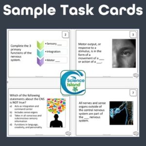 Nervous System Task Cards - Anatomy and Physiology Activity - Science ...