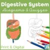 Digestive System Diagrams and Quizzes - Science Island