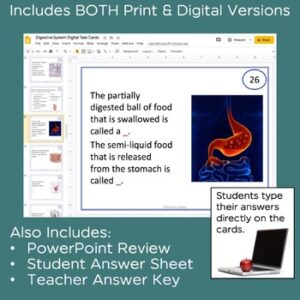 Digestive System Task Cards - Anatomy and Physiology Activity - Science ...