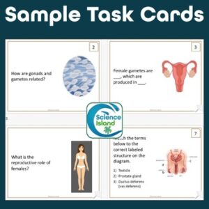 Reproductive System Task Cards - Anatomy and Physiology Activity ...