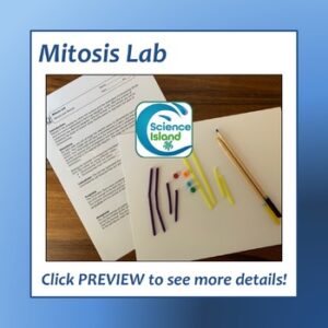 Mitosis and Meiosis Lab - Science Island