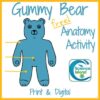 Free Gummy Bear Anatomy Activity - Anatomical Terminology Practice ...