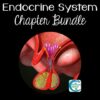 Endocrine System Unit Bundle - Science Island